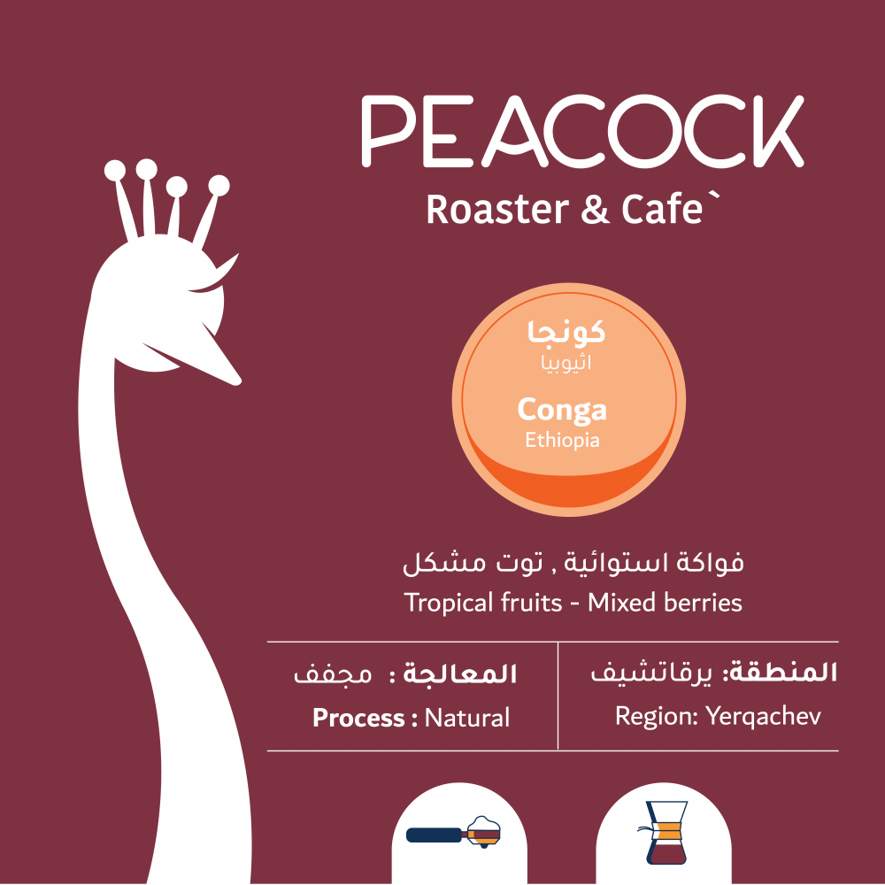 Peacock Conga Ethiopia - Coffee Souq